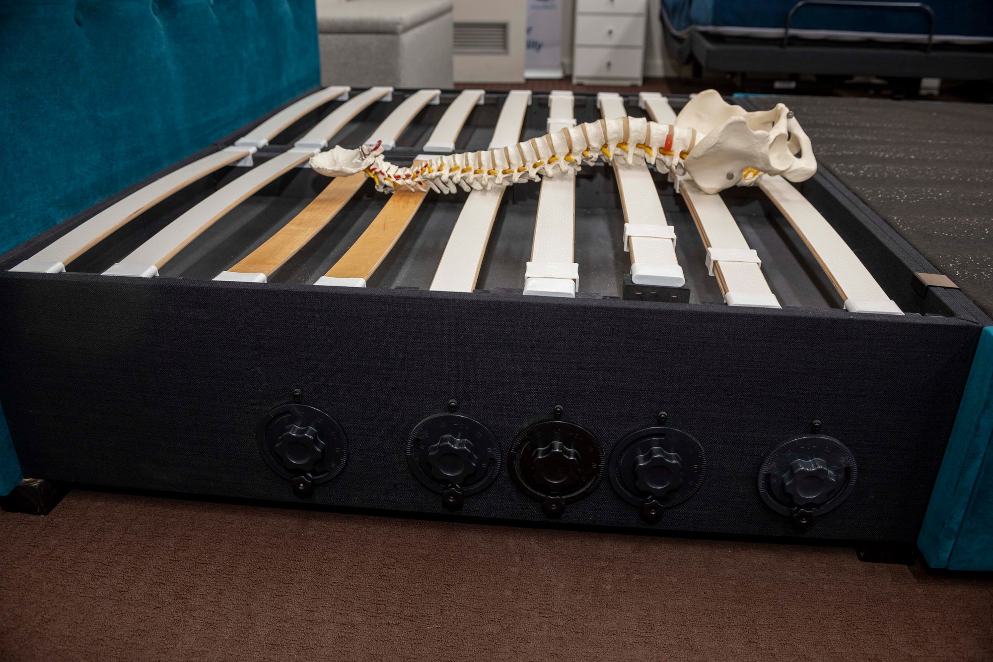 Ergolife Zero Stress DIAL BASE – Beds for Backs